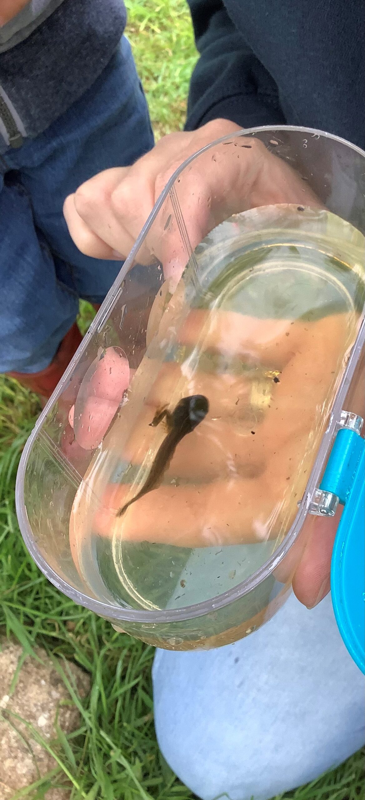 Our Early Years Curriculum – Brize Norton Village Preschool